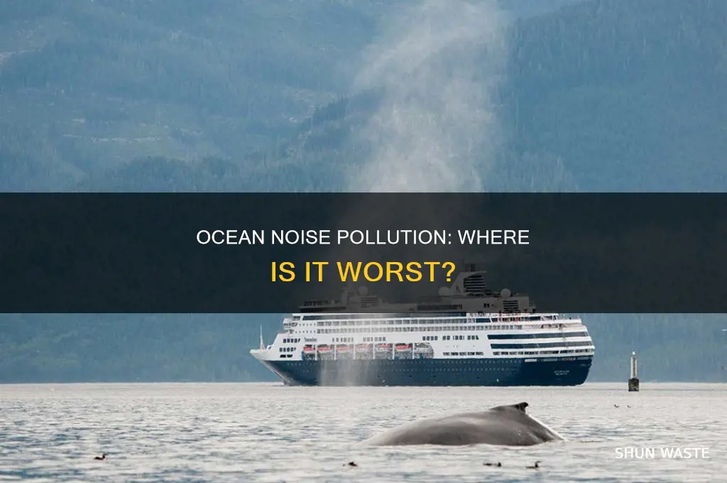 Ocean Noise Pollution: Where Is It Worst? | ShunWaste
