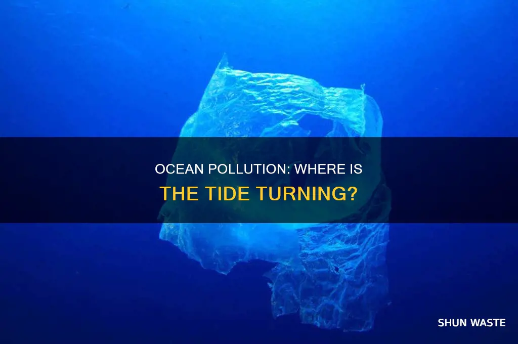 Ocean Pollution: Where Is The Tide Turning? | ShunWaste