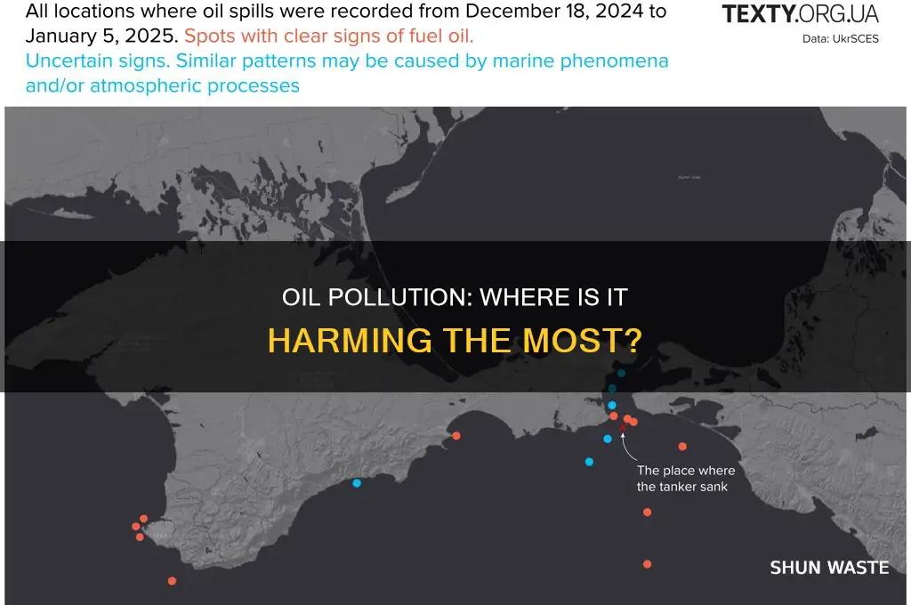 Oil Pollution: Where Is It Harming The Most? | ShunWaste