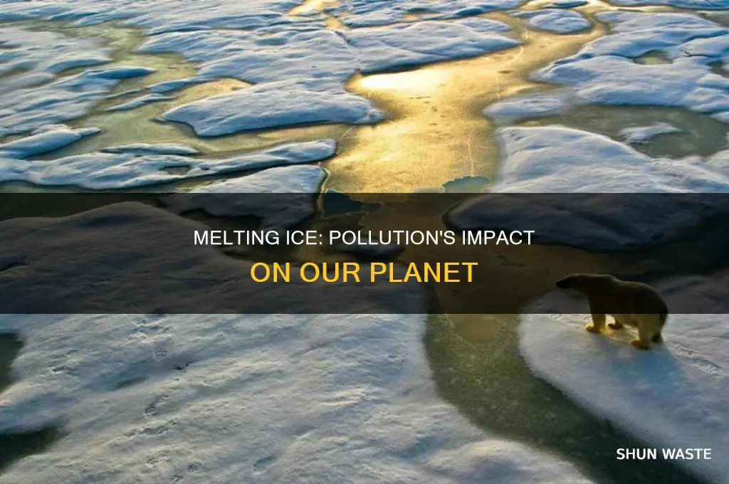 Melting Ice: Pollution's Impact On Our Planet | ShunWaste