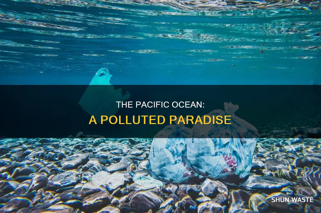 The Pacific Ocean: A Polluted Paradise | ShunWaste