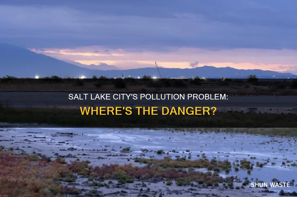 Salt Lake City's Pollution Problem: Where's The Danger? | ShunWaste