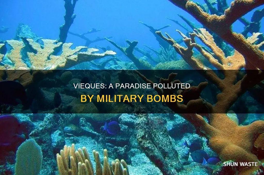 Vieques: A Paradise Polluted By Military Bombs | ShunWaste