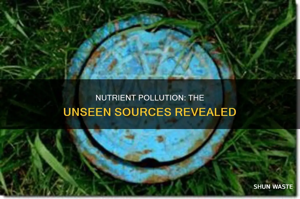 Nutrient Pollution: The Unseen Sources Revealed | ShunWaste