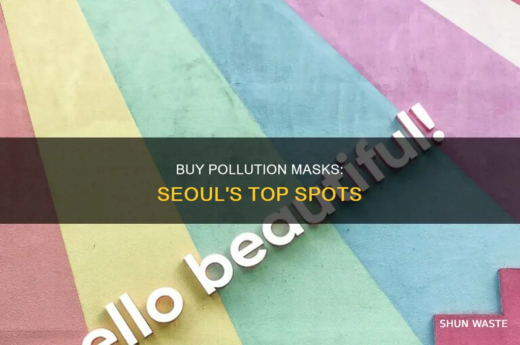 Buy Pollution Masks: Seoul's Top Spots | ShunWaste