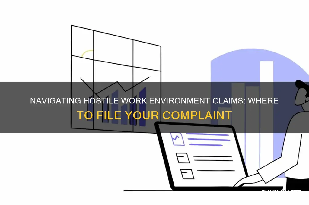 Navigating Hostile Work Environment Claims: Where To File Your ...