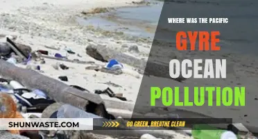 The Pacific Gyre: Ocean Pollution's Epicenter | ShunWaste