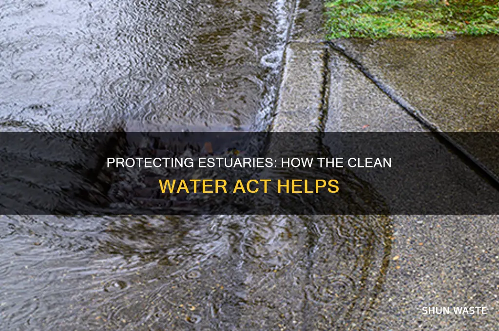 Protecting Estuaries: How The Clean Water Act Helps | ShunWaste