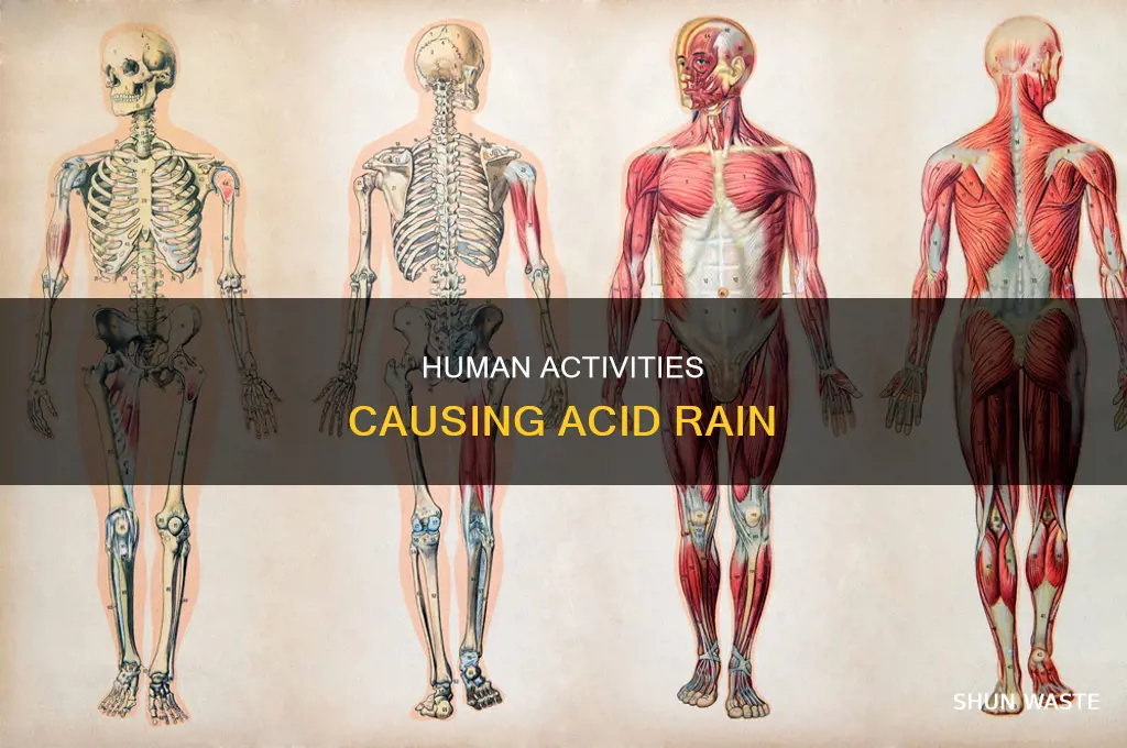 Human Activities Causing Acid Rain | ShunWaste