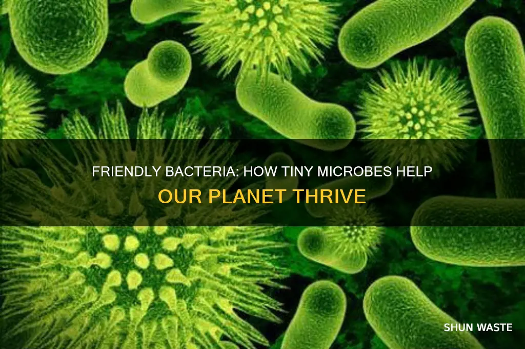 Friendly Bacteria: How Tiny Microbes Help Our Planet Thrive | ShunWaste