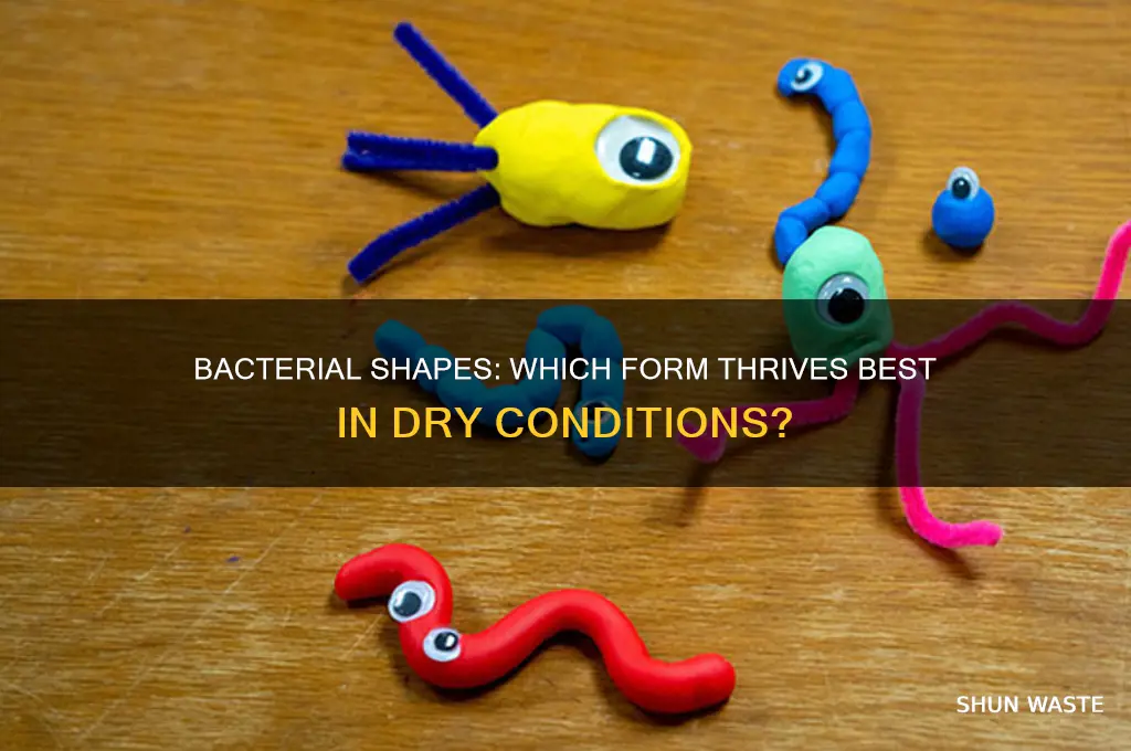 Bacterial Shapes: Which Form Thrives Best In Dry Conditions? | ShunWaste