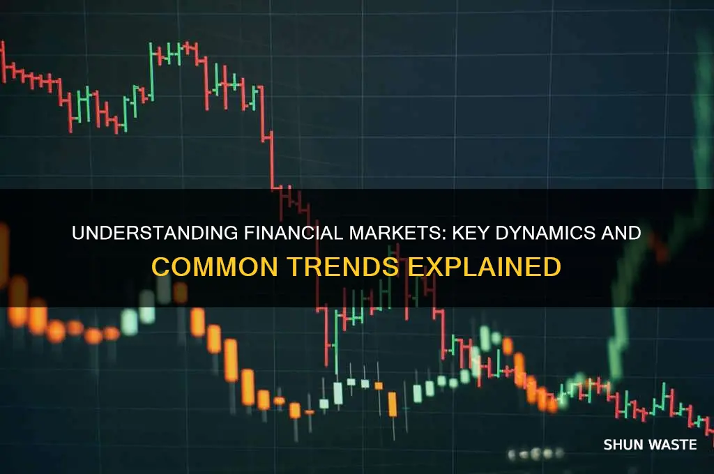 Understanding Financial Markets: Key Dynamics And Common Trends ...
