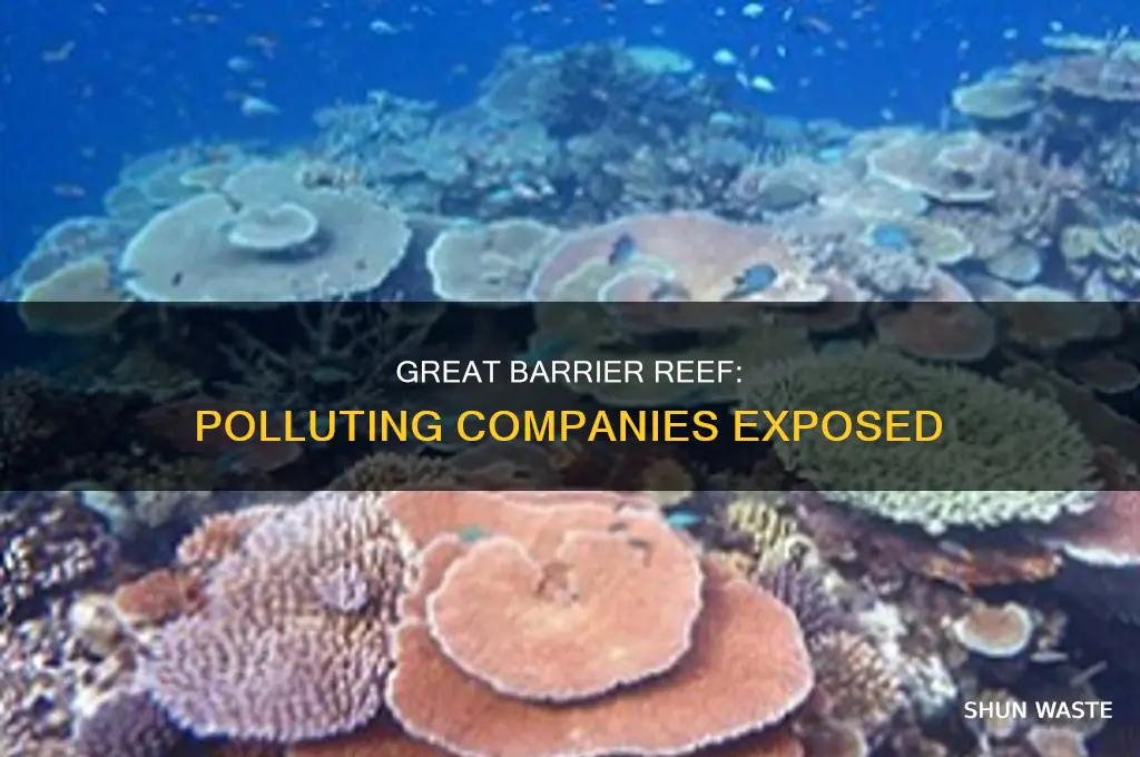 Great Barrier Reef: Polluting Companies Exposed | ShunWaste