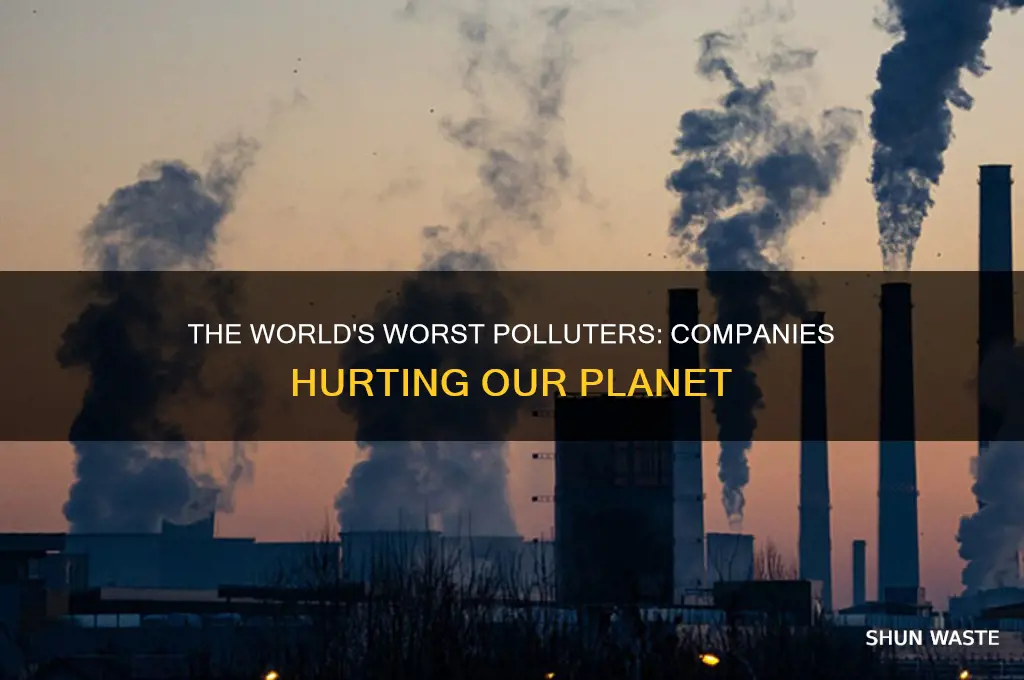 The World's Worst Polluters: Companies Hurting Our Planet | ShunWaste