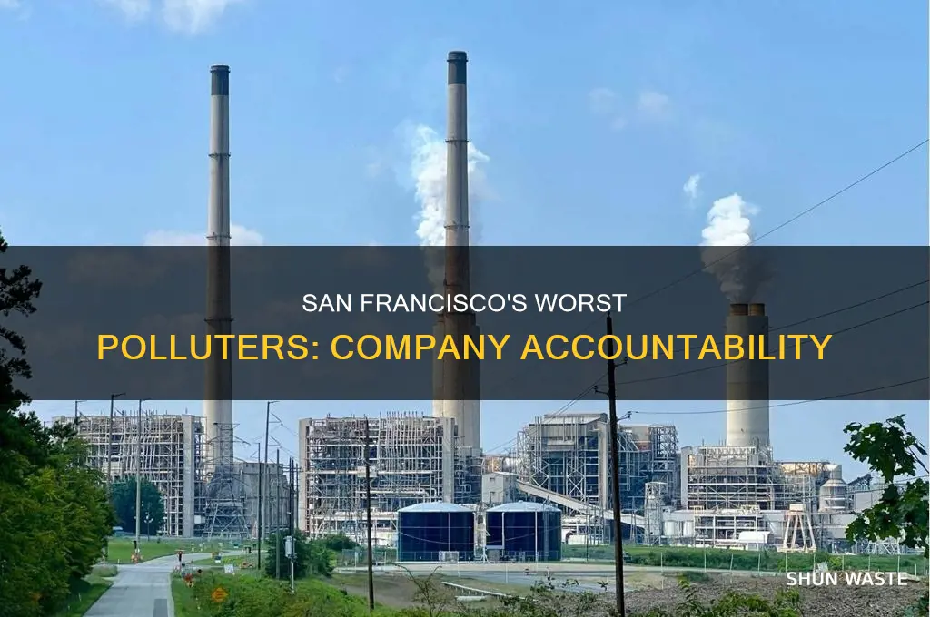 San Francisco's Worst Polluters: Company Accountability | ShunWaste