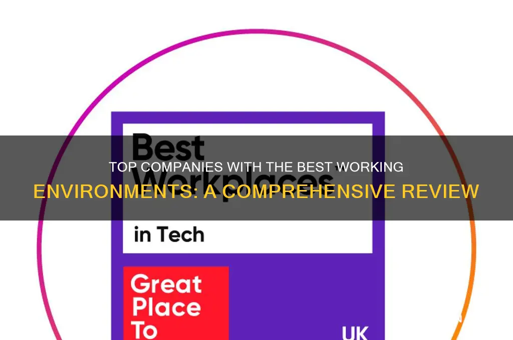 Top Companies With The Best Working Environments: A Comprehensive ...