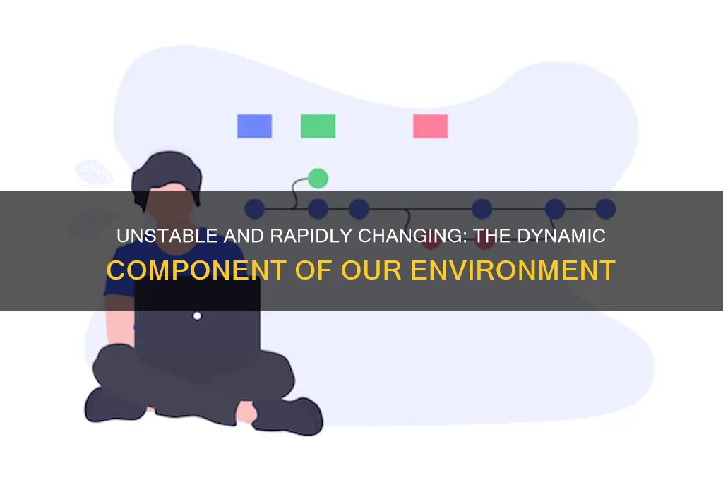 Unstable And Rapidly Changing: The Dynamic Component Of Our Environment ...