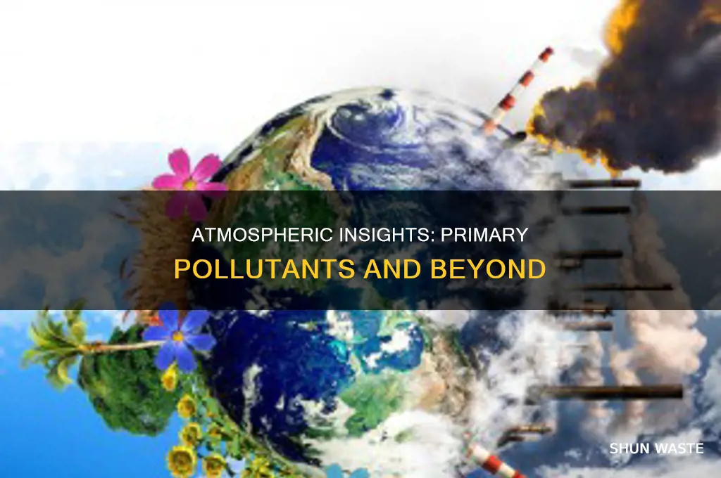 Atmospheric Insights: Primary Pollutants And Beyond | ShunWaste