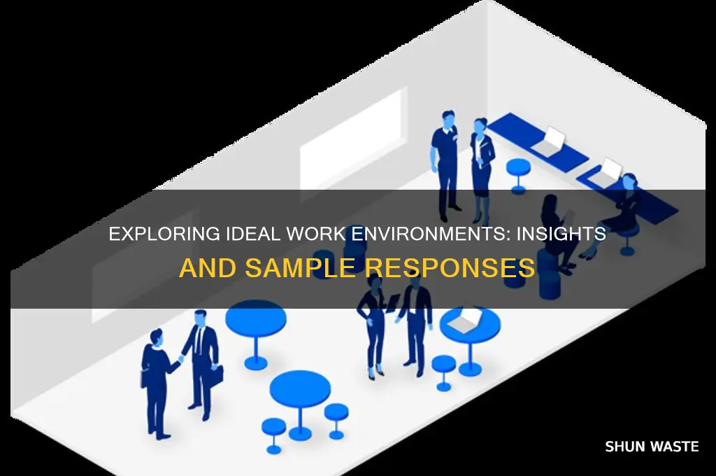 Exploring Ideal Work Environments: Insights And Sample Responses ...