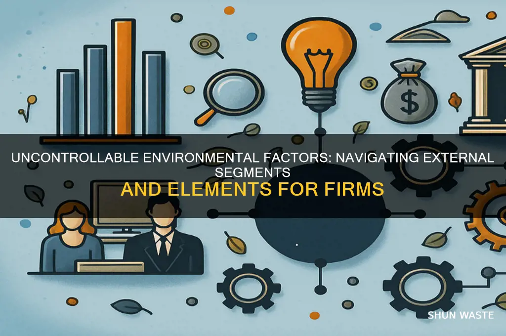 Uncontrollable Environmental Factors: Navigating External Segments And ...