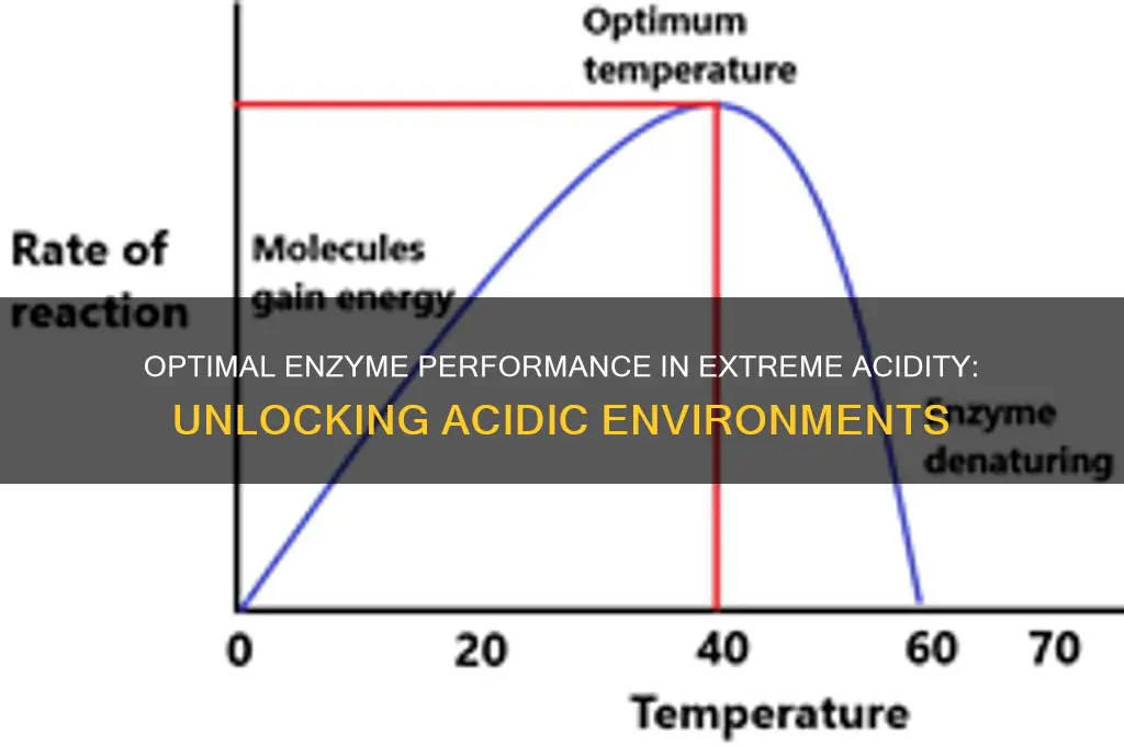 Optimal Enzyme Performance In Extreme Acidity: Unlocking Acidic ...