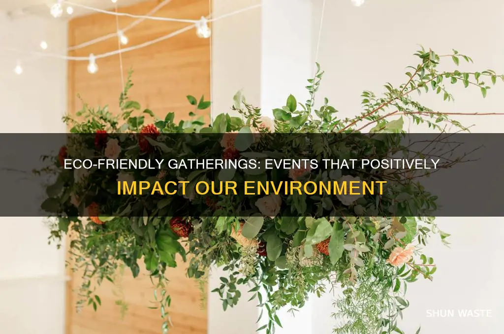 Eco-Friendly Gatherings: Events That Positively Impact Our Environment ...