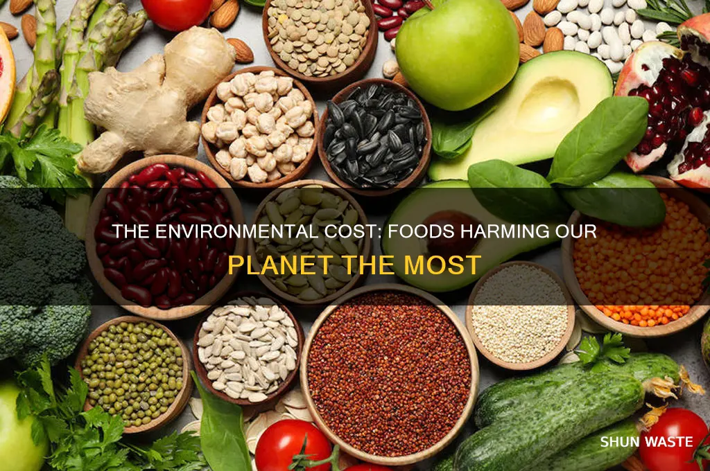 The Environmental Cost: Foods Harming Our Planet The Most | ShunWaste