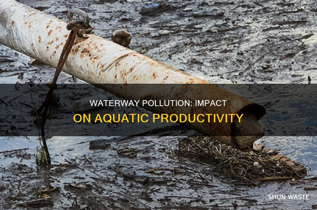 Waterway Pollution: Impact On Aquatic Productivity | ShunWaste