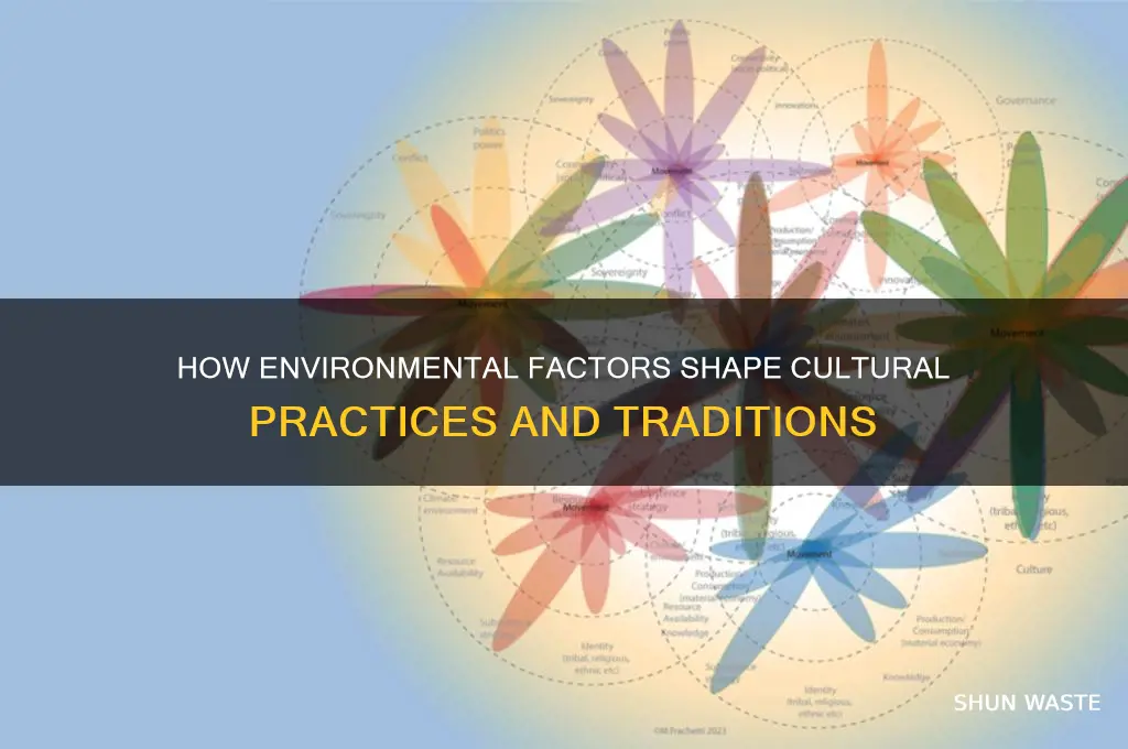 How Environmental Factors Shape Cultural Practices And Traditions ...