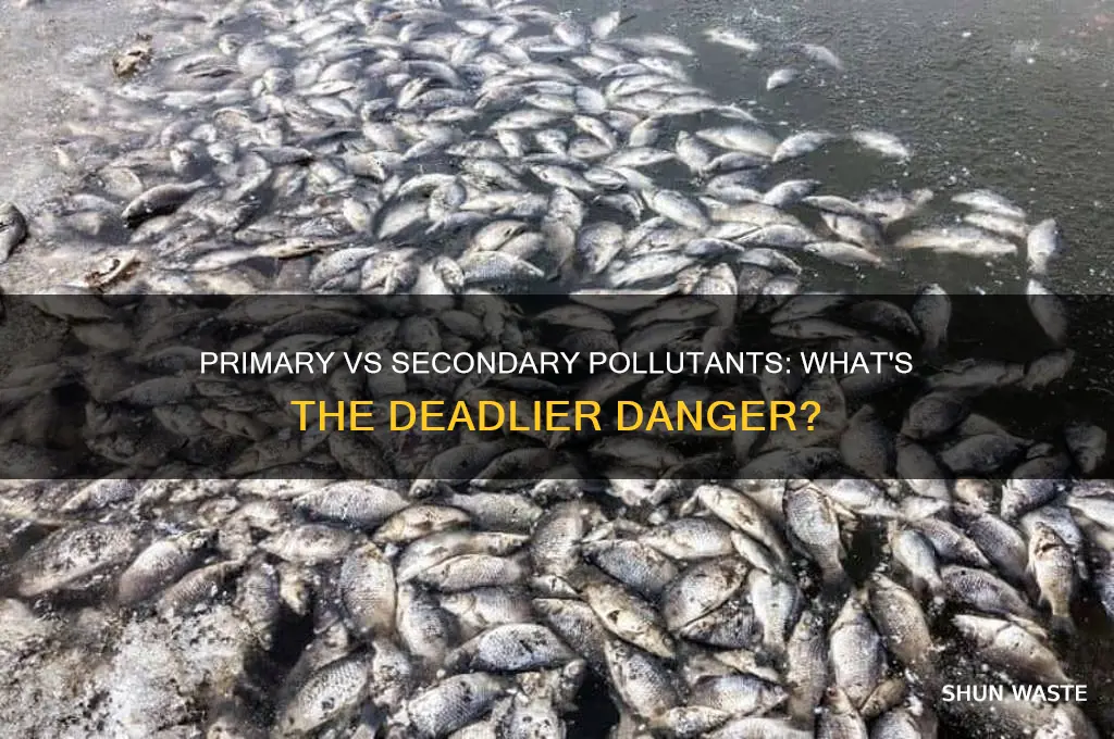 Primary Vs Secondary Pollutants: What's The Deadlier Danger? | ShunWaste