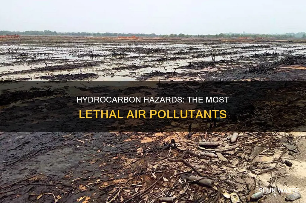 Hydrocarbon Hazards: The Most Lethal Air Pollutants | ShunWaste