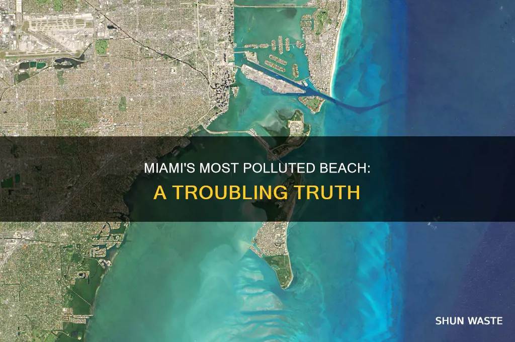 Miami's Most Polluted Beach: A Troubling Truth | ShunWaste