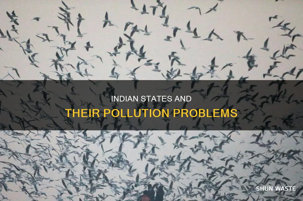 Indian States And Their Pollution Problems | ShunWaste