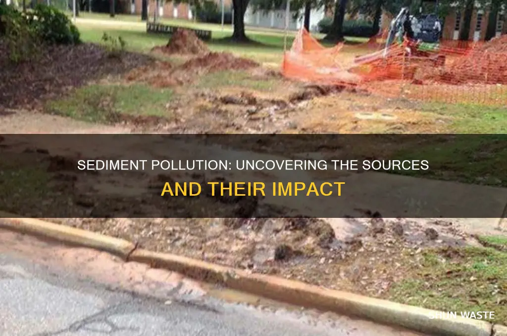 Sediment Pollution: Uncovering The Sources And Their Impact | ShunWaste