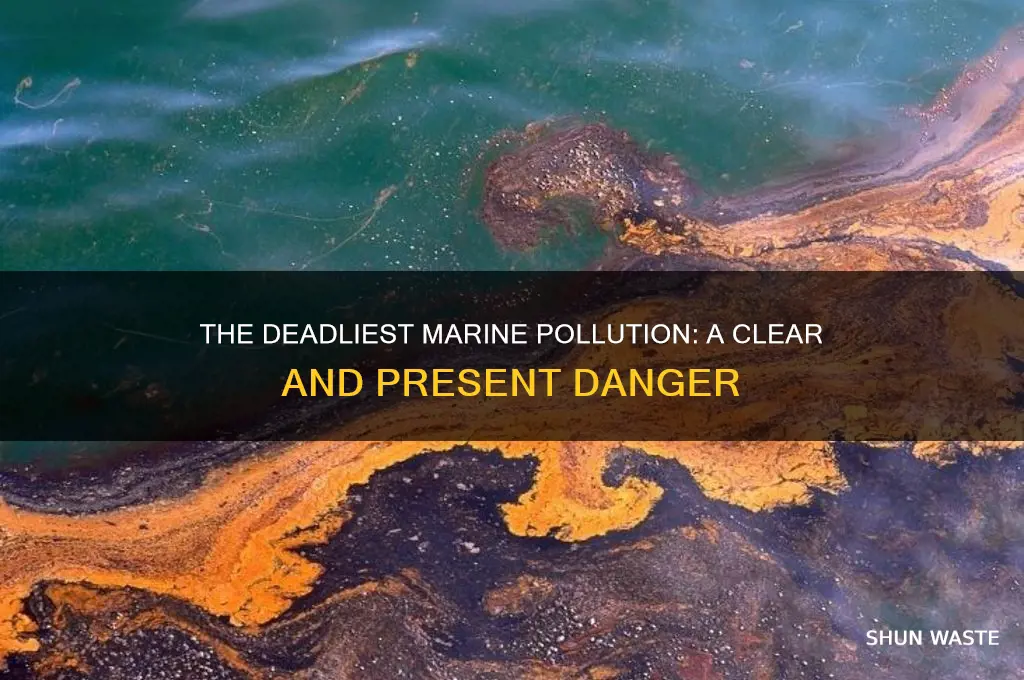 The Deadliest Marine Pollution: A Clear And Present Danger | ShunWaste