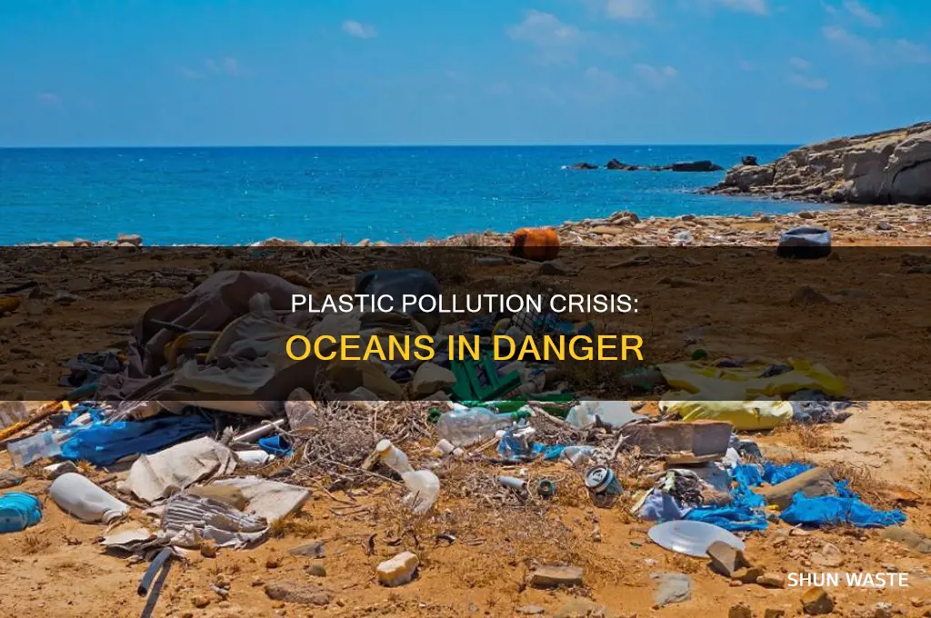 Plastic Pollution Crisis: Oceans In Danger | ShunWaste