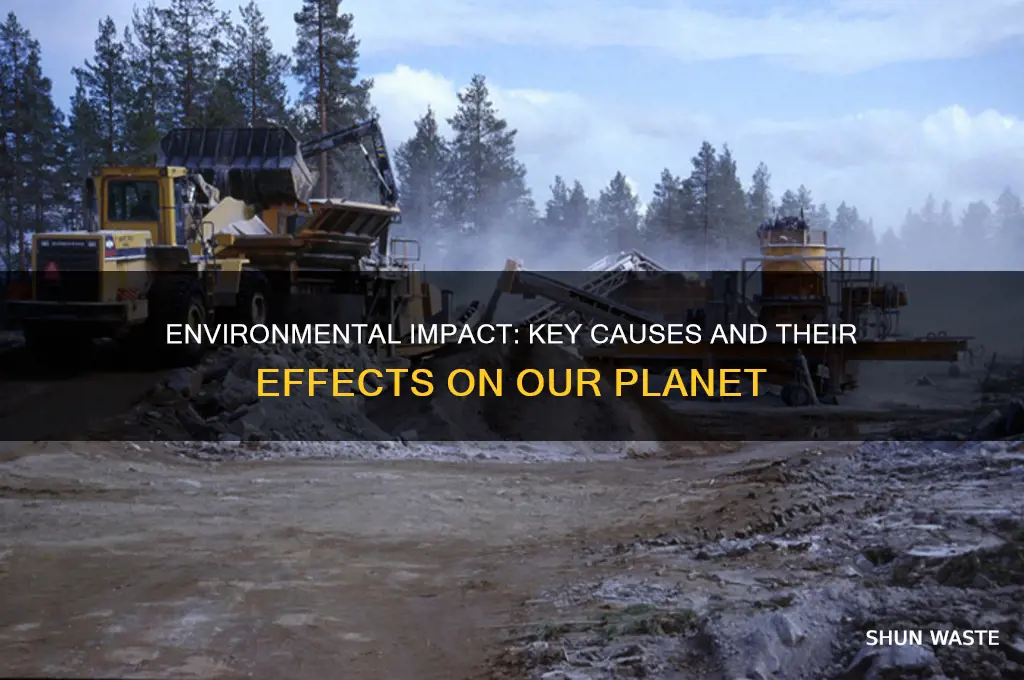 Environmental Impact: Key Causes And Their Effects On Our Planet ...