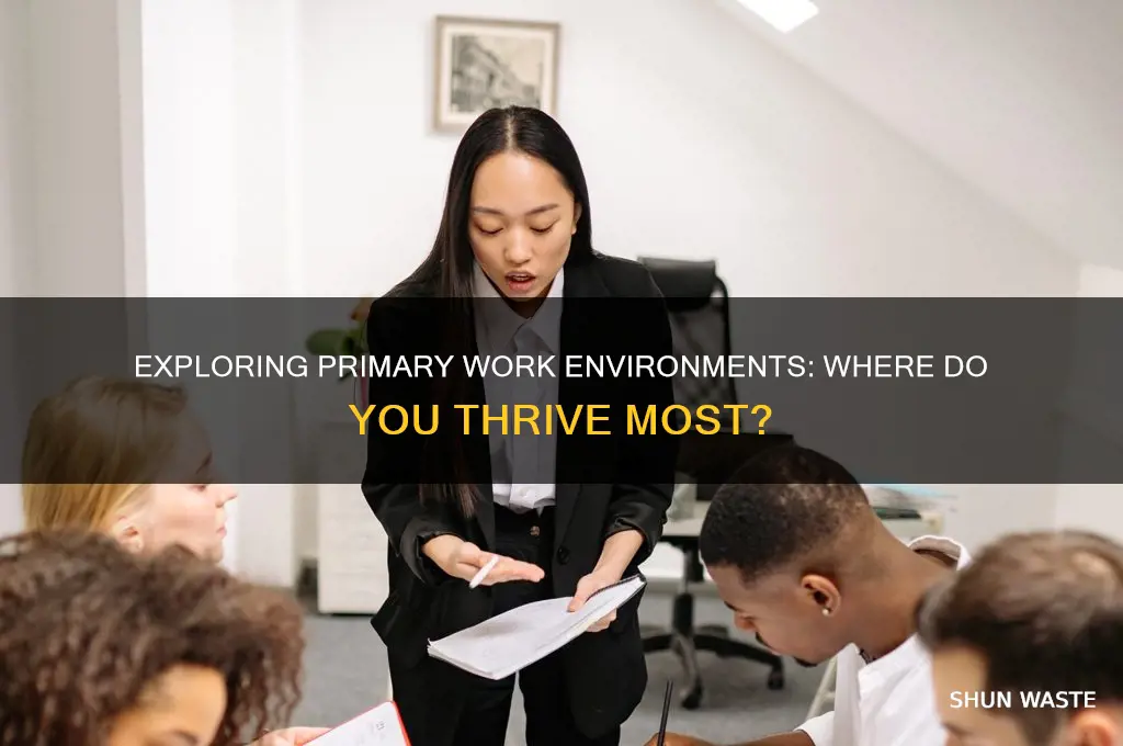 Exploring Primary Work Environments: Where Do You Thrive Most? | ShunWaste