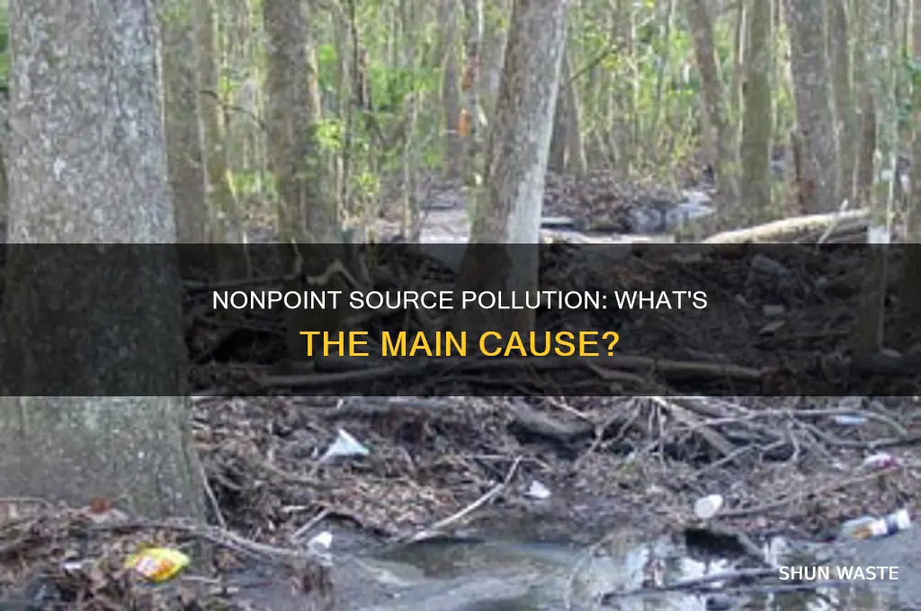 Nonpoint Source Pollution: What's The Main Cause? | ShunWaste