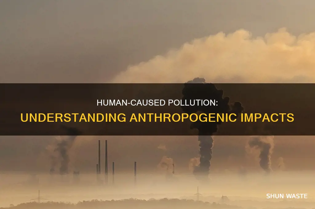 Human-Caused Pollution: Understanding Anthropogenic Impacts | ShunWaste