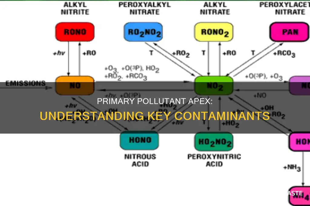 Primary Pollutant Apex: Understanding Key Contaminants | ShunWaste