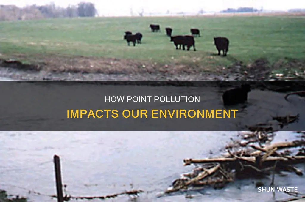 How Point Pollution Impacts Our Environment | ShunWaste