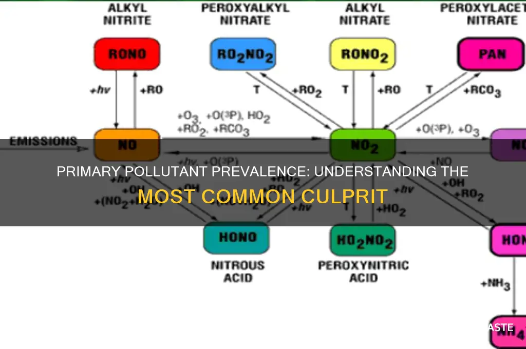 Primary Pollutant Prevalence: Understanding The Most Common Culprit ...