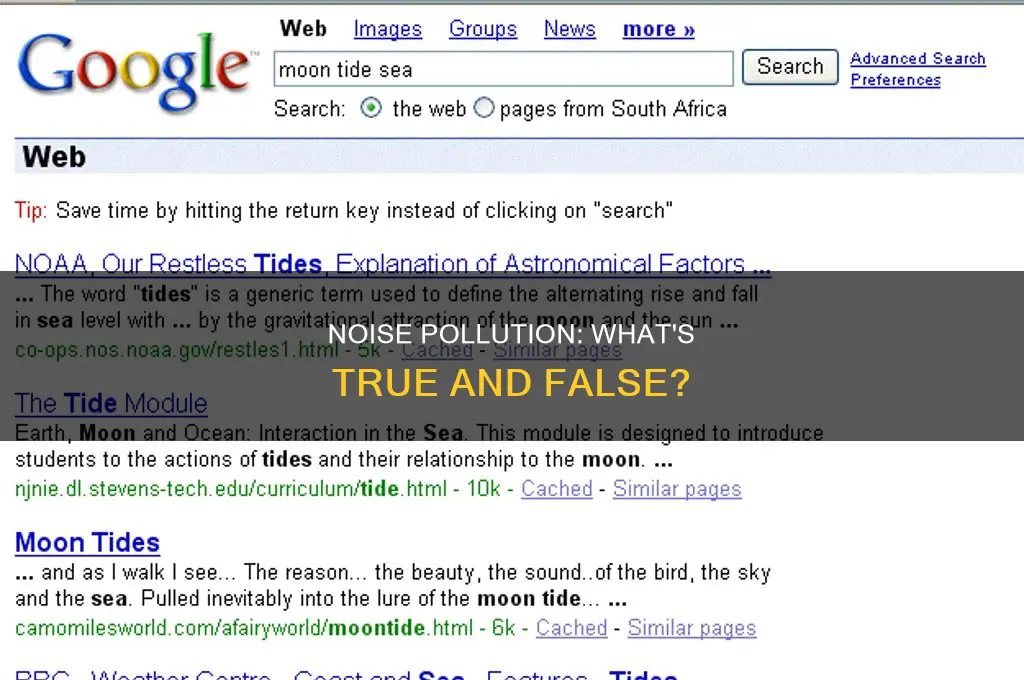 Noise Pollution: What's True And False? | ShunWaste