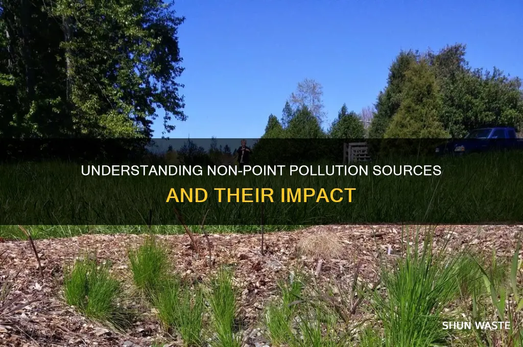 Understanding Non-Point Pollution Sources And Their Impact | ShunWaste