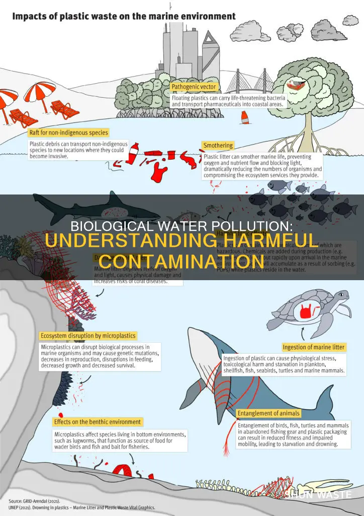 Biological Water Pollution: Understanding Harmful Contamination | ShunWaste
