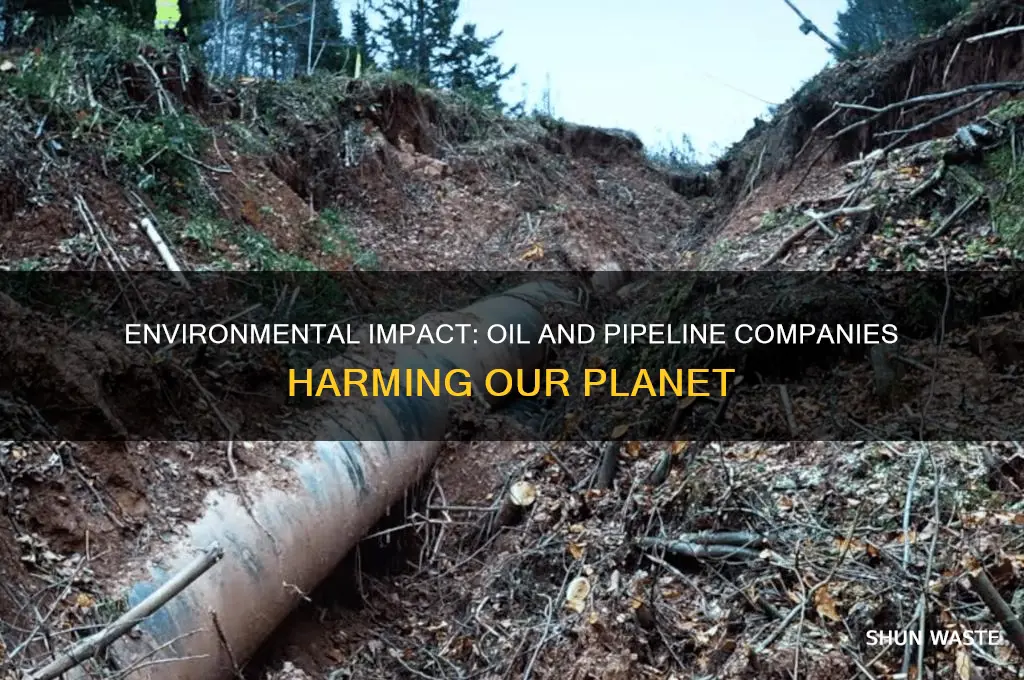 Environmental Impact: Oil And Pipeline Companies Harming Our Planet ...