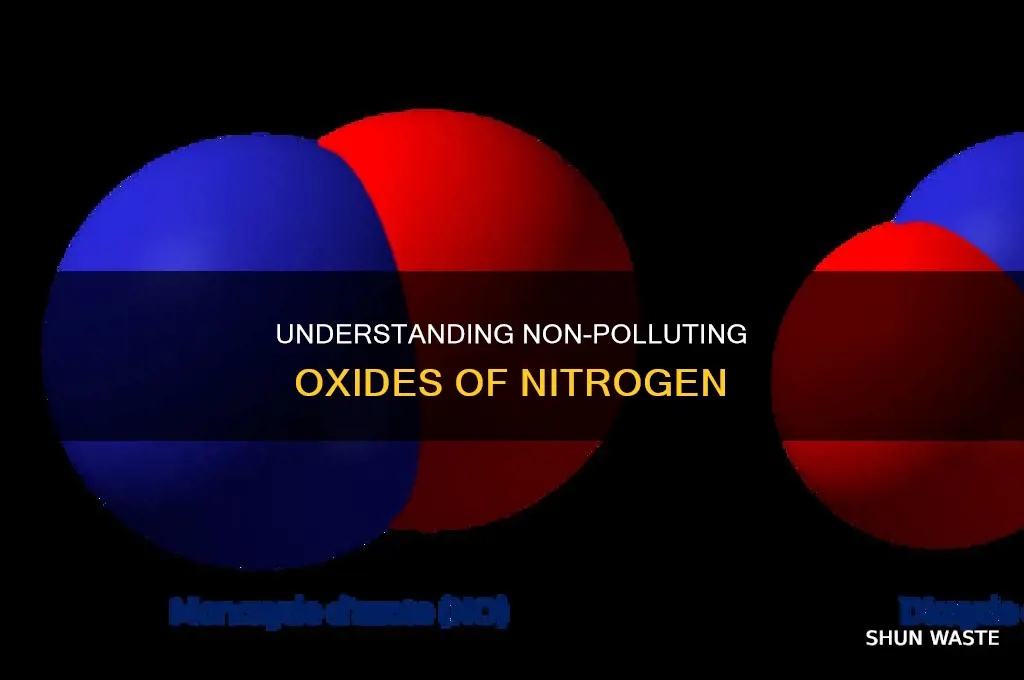 Understanding Non-Polluting Oxides Of Nitrogen | ShunWaste