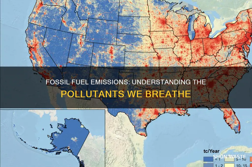 Fossil Fuel Emissions: Understanding The Pollutants We Breathe | ShunWaste