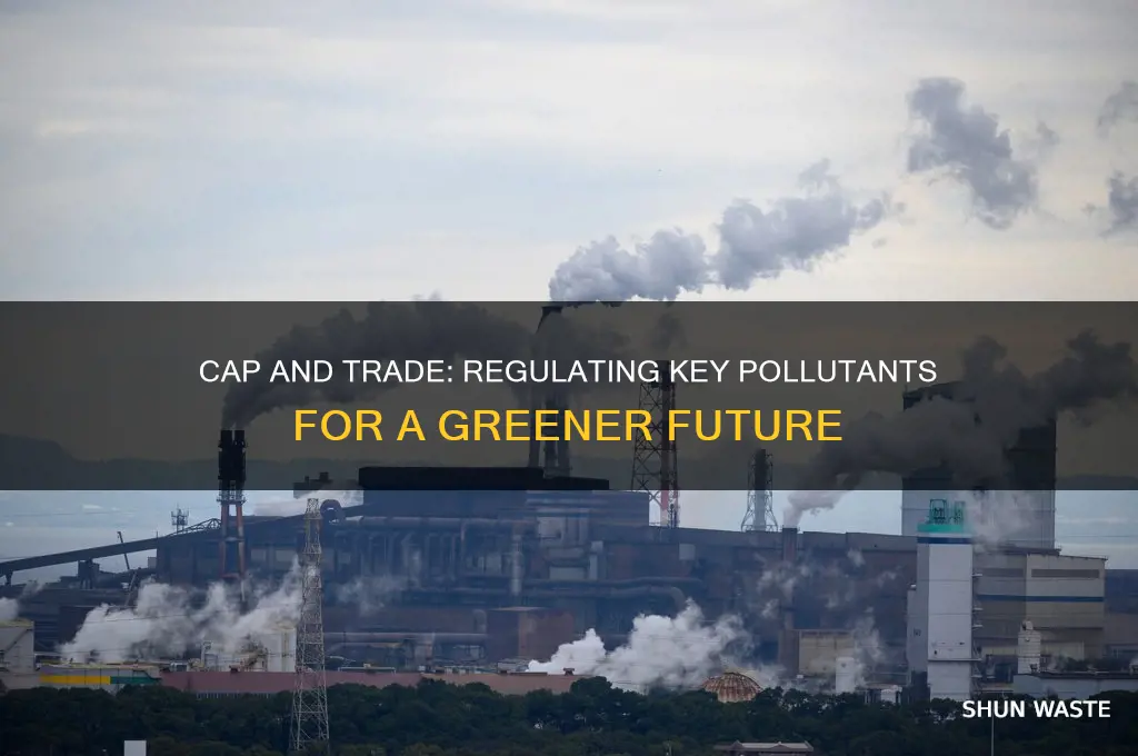 Cap And Trade: Regulating Key Pollutants For A Greener Future | ShunWaste